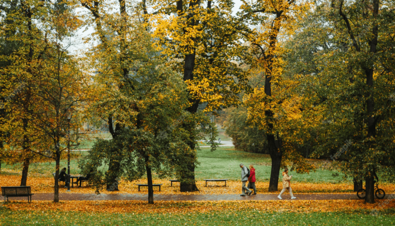 Rozsáhlý park Letná | Prague.org